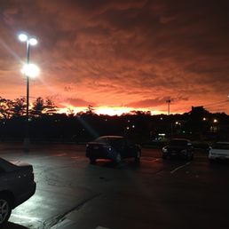 LEMAY WOK - Updated July 2025 - 58 Photos & 125 Reviews - 4530 Lemay ...