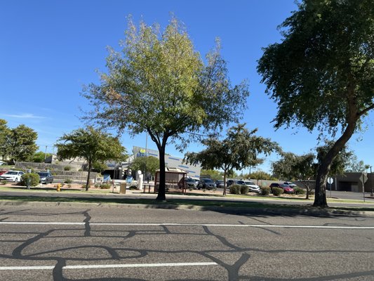 MESA PUBLIC LIBRARY - DOBSON BRANCH - Updated October 2025 - 118 Photos ...