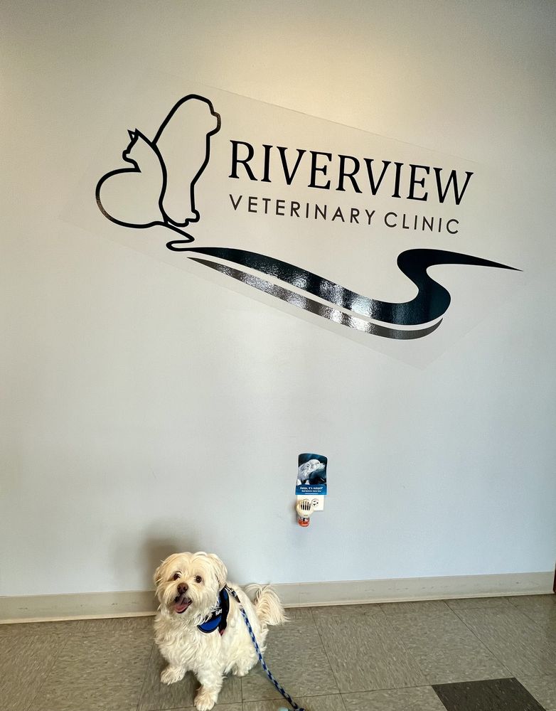 RIVERVIEW VETERINARY CLINIC - Updated July 2024 - 11 Photos & 36 ...