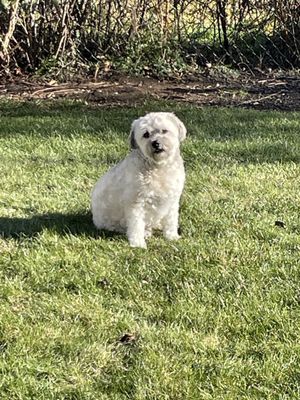 VCA CAPEWAY ANIMAL HOSPITAL - Updated January 2026 - 11 Photos & 45 ...