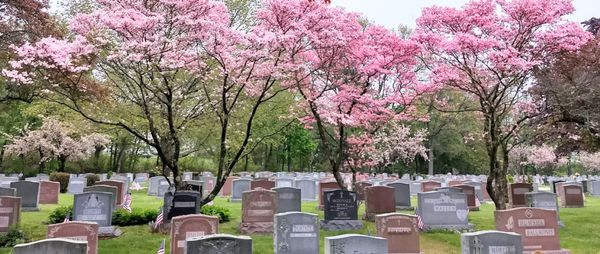 BLUE HILL CEMETERY - Updated October 2025 - 19 Photos - 700 W St ...