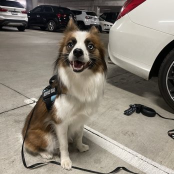 LAWNIE’S - Updated December 2025 - 12 Photos & 14 Reviews - 2414 N ...