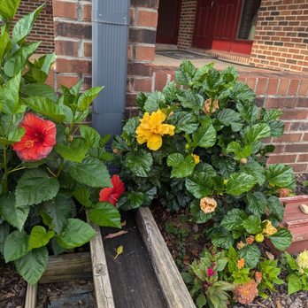 THE SALTY COD - Updated December 2025 - 283 Photos & 90 Reviews - 309 ...