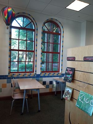 SPANISH RIVER LIBRARY - Updated September 2025 - 109 Photos & 37 ...