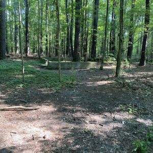 STUMPY LAKE NATURAL AREA - 237 Photos & 17 Reviews - 4794 Indian River ...