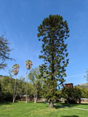 ALMADEN QUICKSILVER MINING MUSEUM - Updated November 2024 - 144 Photos ...