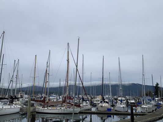 DOCKSIDE GRILL - 159 Photos & 298 Reviews - Seafood - 2577 W Sequim Bay ...