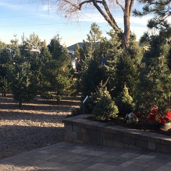 HEIDRICH’S COLORADO TREE FARM NURSERY - Updated December 2025 - 27 ...
