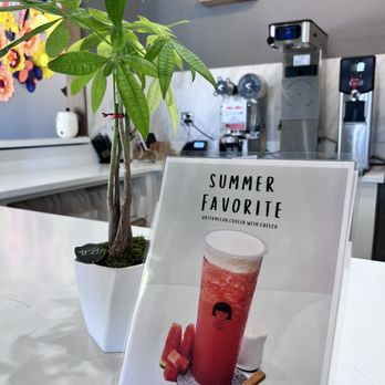 CHAKAA TEA HOUSE - Updated November 2024 - 241 Photos & 86 Reviews ...