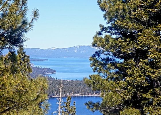 ANGORA RIDGE TRAIL - Updated December 2025 - 14 Photos - Angora Ridge ...