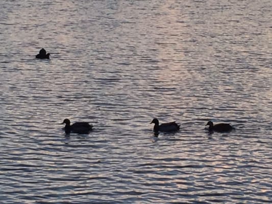 TWIN RIVERS PARK - 11 Photos - 8003 SE 530th NE, Arlington, Washington ...