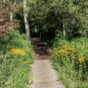 RETZER NATURE CENTER - 26 Photos & 11 Reviews - S14 W28167 Madison St ...