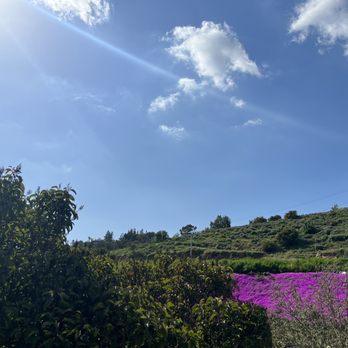 PETERS CANYON HIKE - Updated May 2024 - 1119 Photos & 374 Reviews ...