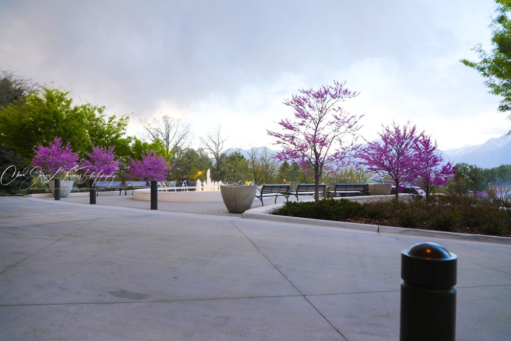 JORDAN RIVER UTAH TEMPLE - Updated December 2025 - 93 Photos & 14 ...