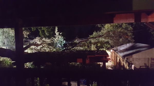 SMUD - Updated January 2026 - 46 Photos & 145 Reviews - 6301 S St ...