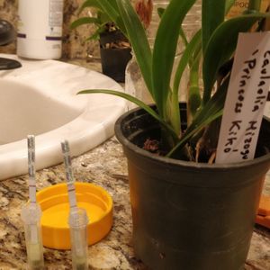 CHERRY LAKE TREE FARM - Updated August 2025 - 7836 Cherry Lake Rd ...