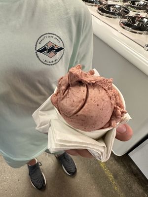 BOMBA GELATO - Updated October 2025 - 25 Photos - Toronto, Ontario ...