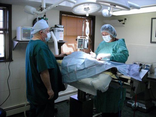 MADISON ANIMAL HOSPITAL - Updated March 2025 - 23 Photos & 60 Reviews ...