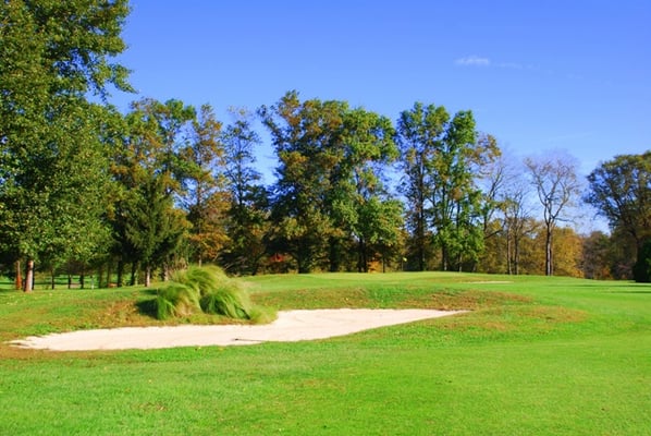 SPRINGFIELD GOLF CENTER - Updated November 2025 - 22 Photos - 24 ...