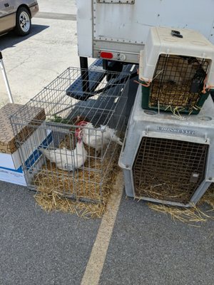 CLINTON BAILEY FARMERS MARKET - 43 Photos & 24 Reviews - 1443 Clinton ...