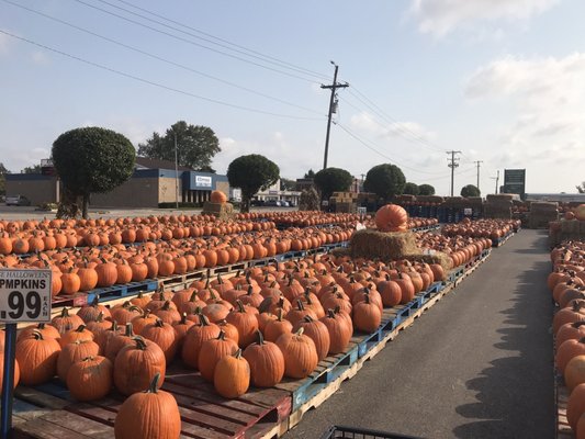 LEWIS FRESH MARKET - Updated September 2024 - 47 Photos & 78 Reviews ...