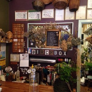 GARDENWORLD NURSERY - Updated November 2024 - Springvale Rd ...