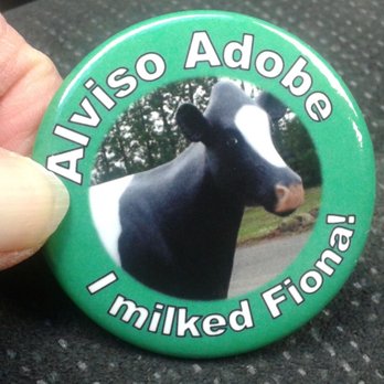 Alviso Adobe Community Park - 91 Photos & 12 Reviews - Parks - 3465 Old ...