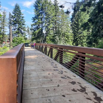 LACAMAS CREEK TRAIL - Updated July 2025 - 103 Photos & 29 Reviews - 200 ...