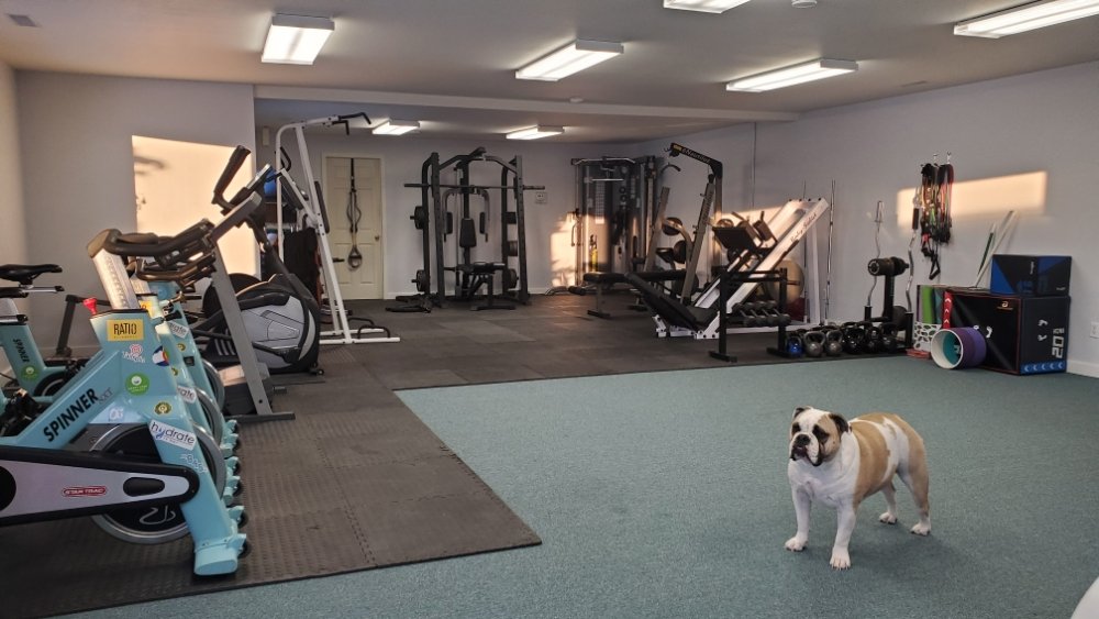 THE TRAINING DEN - Updated December 2025 - Request Consultation - 5530 ...