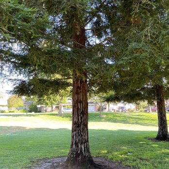 FOULKS RANCH ELEMENTARY SCHOOL - Updated September 2024 - 10 Photos ...