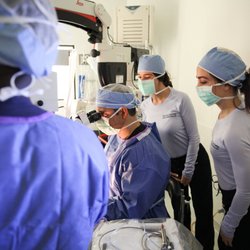 BRENT BELLOTTE, MD - WEST BOCA EYE CENTER - 32 Photos & 14 Reviews ...