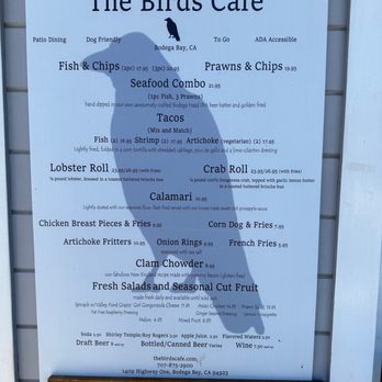 THE BIRDS CAFE - Updated April 2025 - 897 Photos & 642 Reviews - 1407 ...