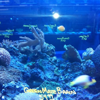 THE FISH ROOM - Updated December 2025 - 23 Photos & 40 Reviews - 5205 ...