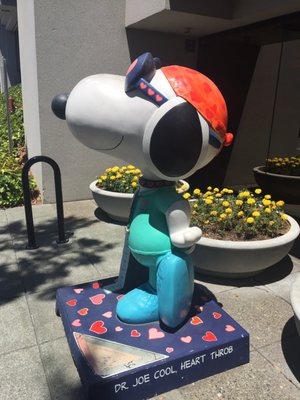 SANTA ROSA IMAGING MEDICAL CENTER - Updated December 2025 - 18 Photos ...