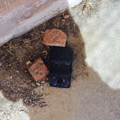 ECOLA TERMITE & PEST CONTROL - Updated May 2026 - 24 Photos & 153 ...
