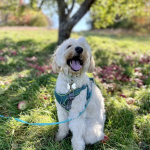 BARTON ORCHARDS - Updated October 2025 - 450 Photos & 386 Reviews - 63 ...