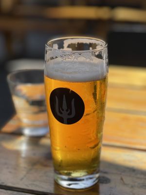 WAYFINDER BEER - Updated October 2025 - 502 Photos & 361 Reviews - 304 ...