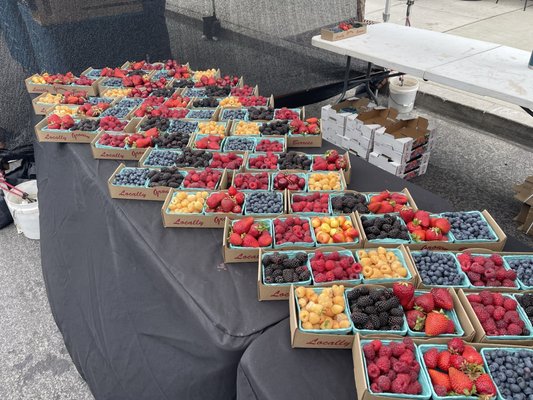 NORTHWEST CROSSING FARMERS MARKET - Updated August 2025 - 83 Photos ...