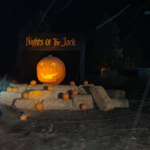 KING GILLETTE RANCH - 259 Photos & 64 Reviews - Parks - 26800 ...