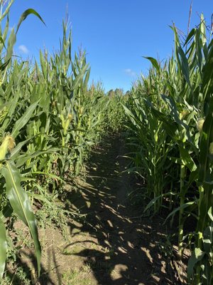 FIALA FARMS - Updated September 2024 - 22 Photos & 11 Reviews - 21231 ...