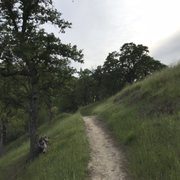 SHELL RIDGE OPEN SPACE - 301 Photos & 55 Reviews - 1035 Castle Rock Rd ...