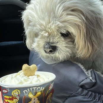 DUTCH BROS COFFEE - Updated October 2025 - 39 Photos & 21 Reviews ...