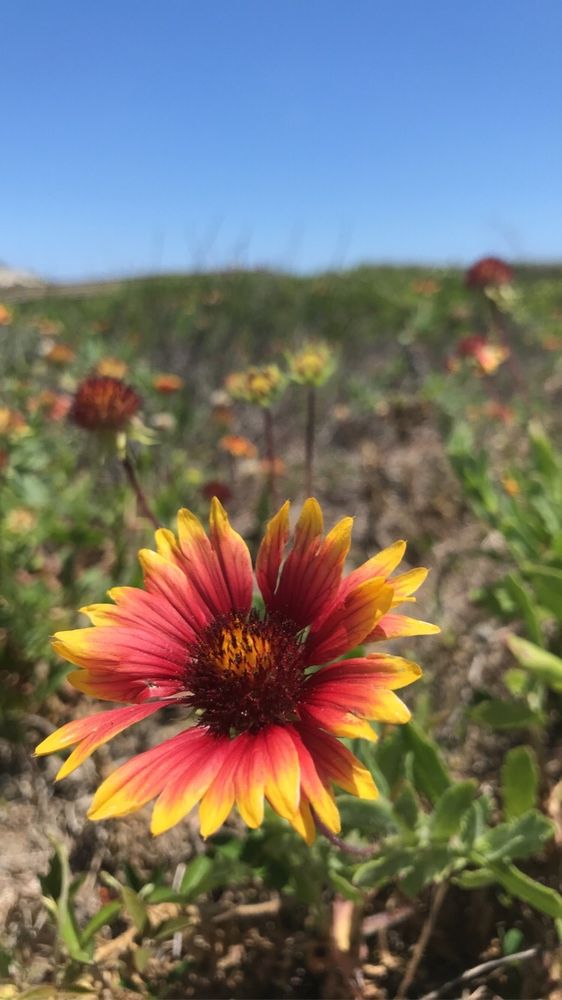 BUTLER BEACH - 36 Photos - 5633 A1A S, Saint Augustine, Florida ...