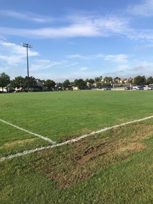 HAROLD PATTERSON SPORTS CENTER - Stadiums & Arenas - 1000 W Bardin Rd ...