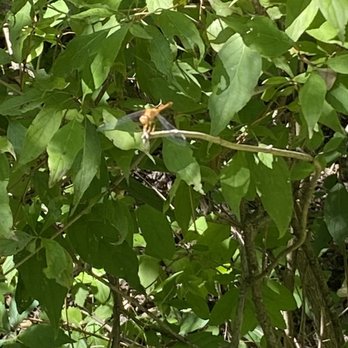 26 MILE NATURE PRESERVE - Updated January 2026 - 44 Photos - 22200 26 ...