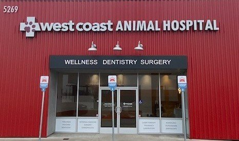 WEST COAST ANIMAL HOSPITAL - Updated January 2026 - 282 Photos & 456 ...
