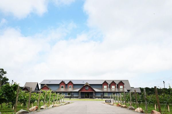 DANCING DRAGONFLY WINERY - Updated November 2025 - 102 Photos & 110 ...