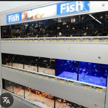 WALMART - Updated December 2025 - 119 Photos & 143 Reviews - 2100 N ...