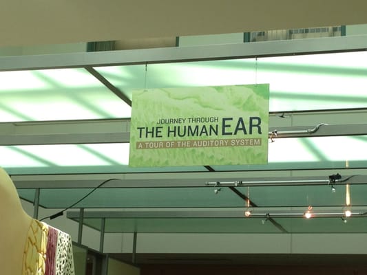 HOUSE CLINIC - Updated January 2026 - 18 Photos & 146 Reviews - 1245 ...