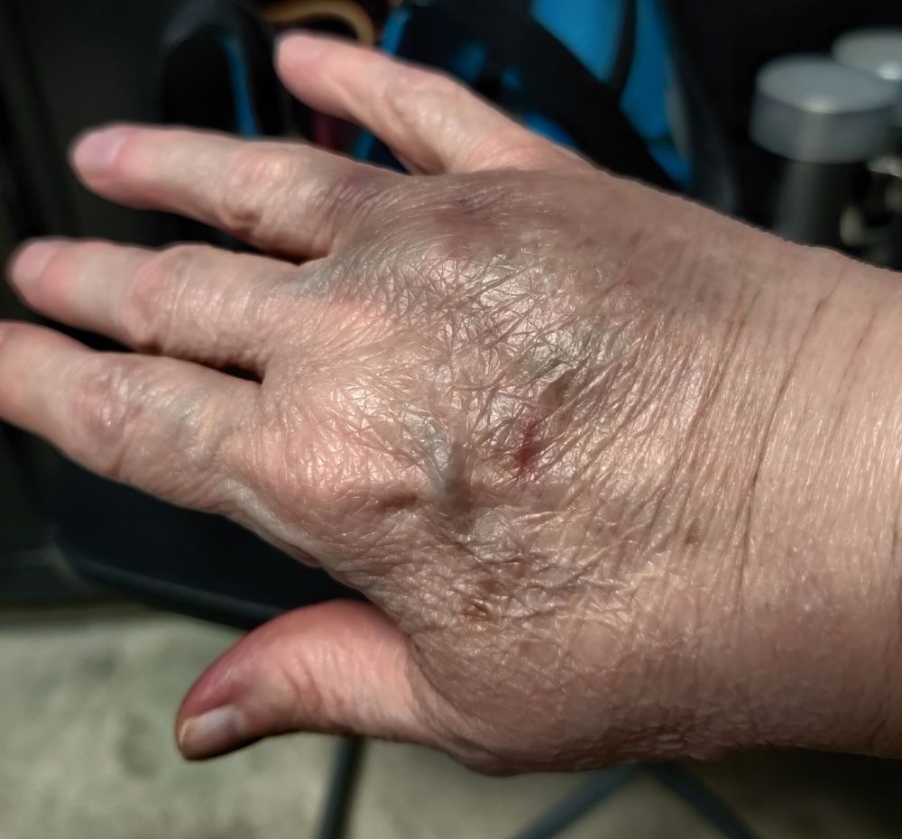 ROBERT I SCHNIPPER, MD - Updated December 2025 - 2001 College St ...